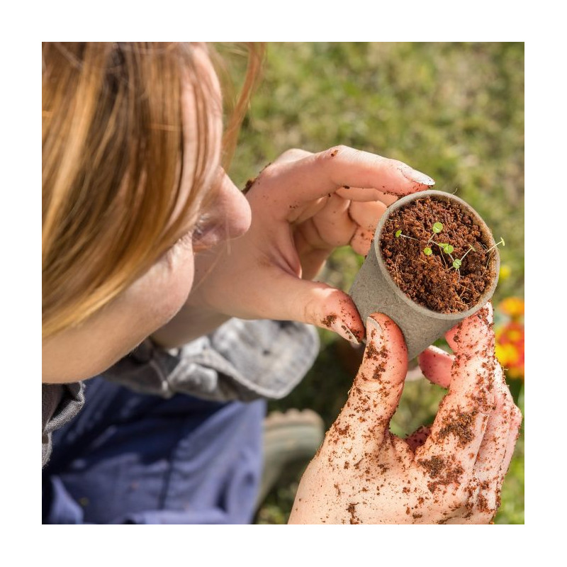 Ensemble de 80 Godets pour Semis 100 % Cellulose – 5 x 6 cm