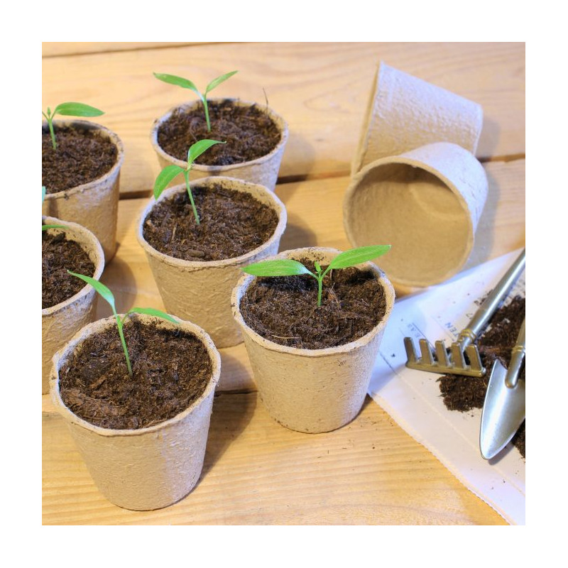 Ensemble de 80 Godets pour Semis 100 % Cellulose – 5 x 6 cm